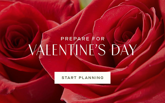 FTDi.com - Member Florists of FTD